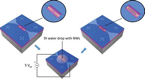 Figure 1 From Selectively Arranged Single Wire Based Nanosensor Array
