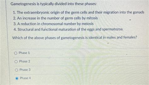 Solved Gametogenesis Is Typically Divided Into These Phases