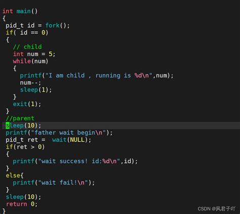 理解和使用wait与waitpid：处理子进程的退出与僵尸状态 Csdn博客