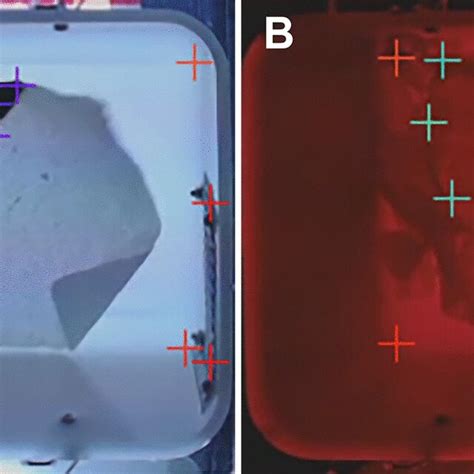 Analysis In Deeplabcut A Specific Structures Are Identified After