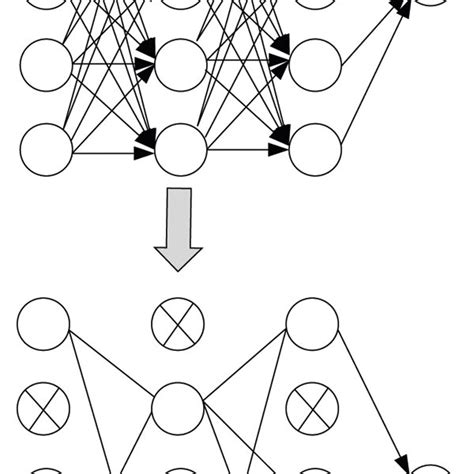 Neural Network Model Using Dropout Download Scientific Diagram