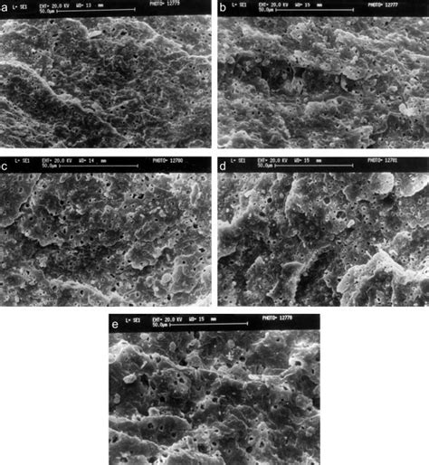 Plot Of Relative Elongation At Break εbεp Of I Ppeva Copolymer Download Scientific Diagram