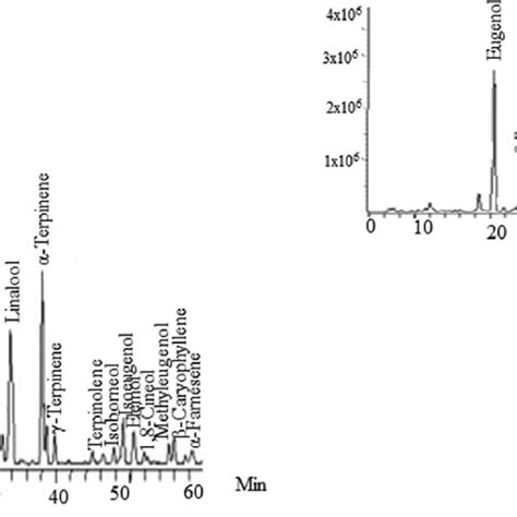 The Gc Msd And Gc Fid Insert Chromatograms Of C Altissimum Stem Bark Oil Download Scientific