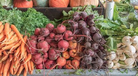 Beetroot Varieties In Australia
