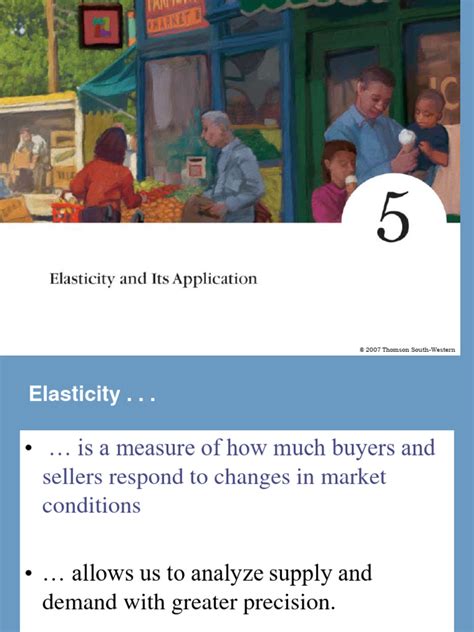 Chapter 3 Elasticity Pdf Demand Price Elasticity Of Demand