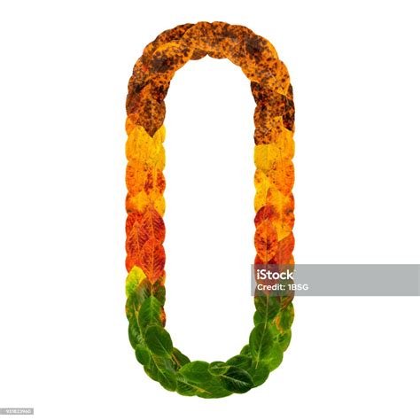 가 단풍 밝은 편지 O 자연 잎 흰색 배경에 고립 생활 멀티 레이어 알파벳 문자 글꼴의 다채로운 문자입니다 장식 디자인 비문 요소 자연입니다 0명에 대한 스톡 사진 및 기타