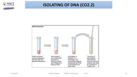 Recombinant DNA Technology PPTX