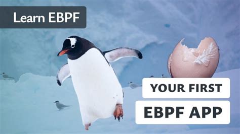 How To Build Ebpf Programs With Linux Observability Donald Lutz Posted On The Topic Linkedin