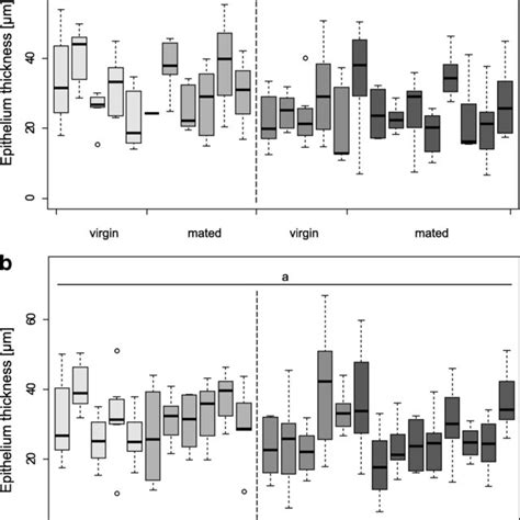 Cuticle Thickness Of The Anterior A And Posterior Lobe B Of The Download Scientific Diagram