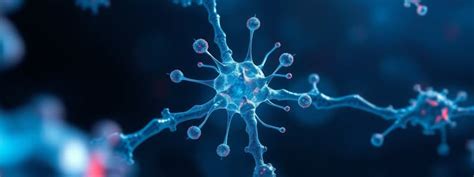 Biology Chapter Cell Structure And Function