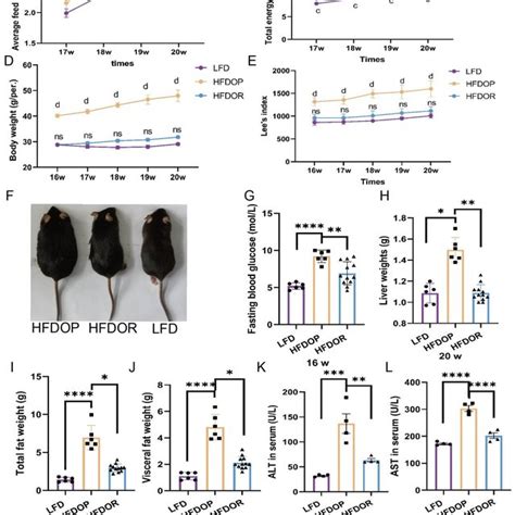 Primary Indexes In Obesity Obesity Resistance Mice A Experimental Download Scientific Diagram