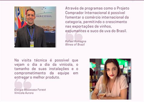 wine south america 2022 wsa e apex brasil promovem o projeto