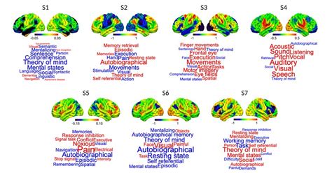 Spatial Distribution Of Mean Neural Activity Characteristic Of Each