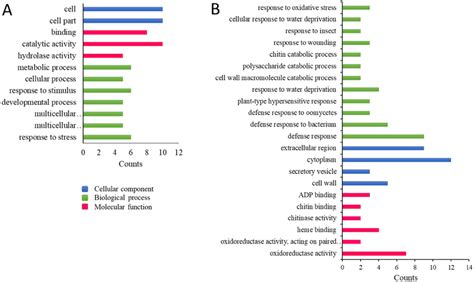 Gene Function Prediction By Gene Ontology Terms In L Usitatissimum Download Scientific