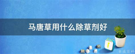 马唐草用什么除草剂好 业百科