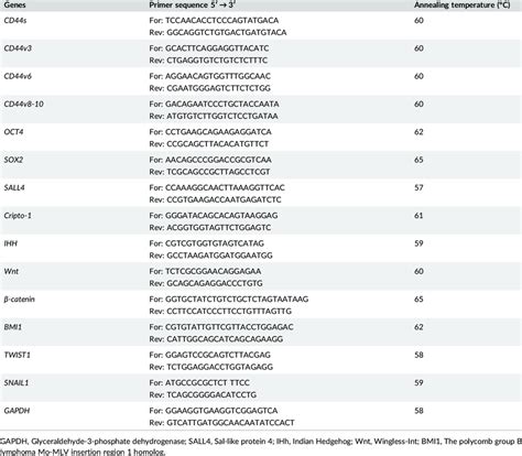 Primer Sequences For The Amplification Of Target Genes And Gapdh