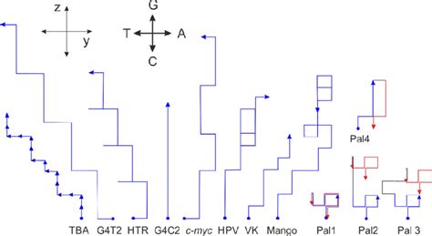 Selected Sequences Represented By Orthogonal Vector Analysis The Download Scientific Diagram