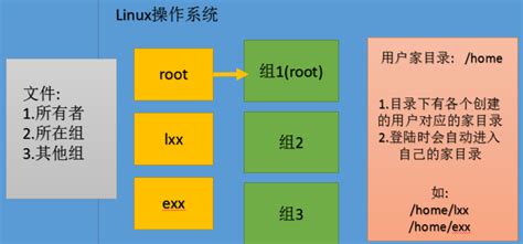 Linux组管理和权限管理 只会玩辅助 博客园
