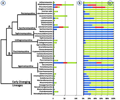 1000 Fungal Genomes Project