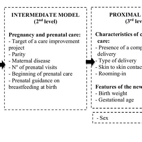 Theoretical Hierarchical Model Of Factors Associated With Breastfeeding Download Scientific