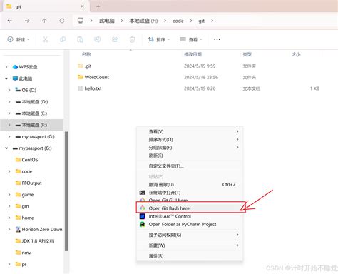 【git入门】使用 git 进行项目管理：word count 程序开发与托管 git管理word csdn博客