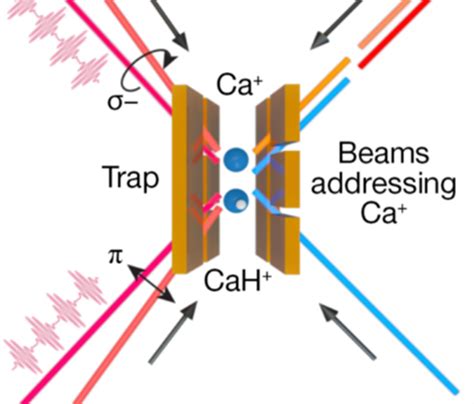Quantum Logic Spectroscopy Of Single Molecular Ion