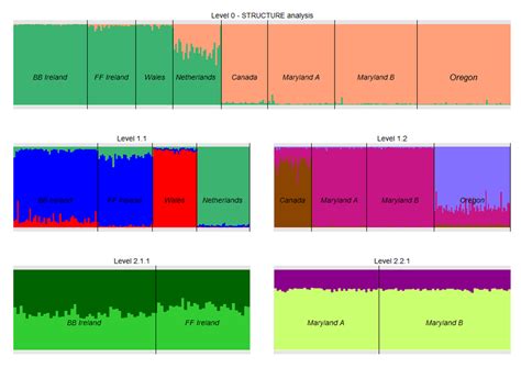Estimated Population Structure From Hierarchical Structure Analyses For Download Scientific