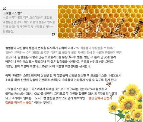 서울프로폴리스테크