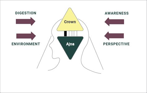 Bodygraph Chart Arrows Aluxuriousmind