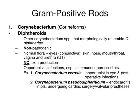 Ppt Chapter 10 Gram Positive Rods Powerpoint Presentation Free