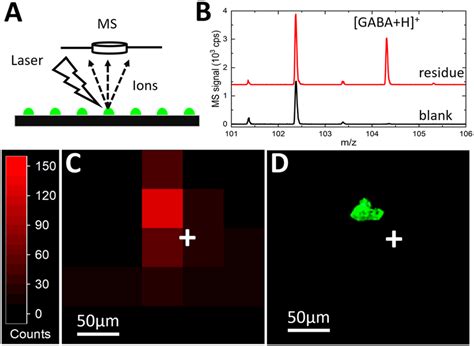 Ms Maldi Imaging Analysis Of A Printed Droplet Array A Schematic Of