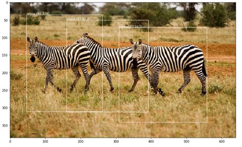 Github Majid Hosseini Image Object Detector Image Object Detection Using Yolov And Keras