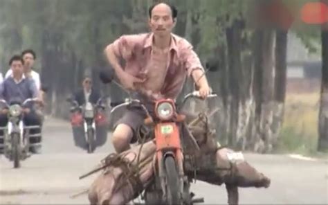 李伯清老师骑摩托成名作哔哩哔哩 ゜ ゜つロ 干杯~ Bilibili