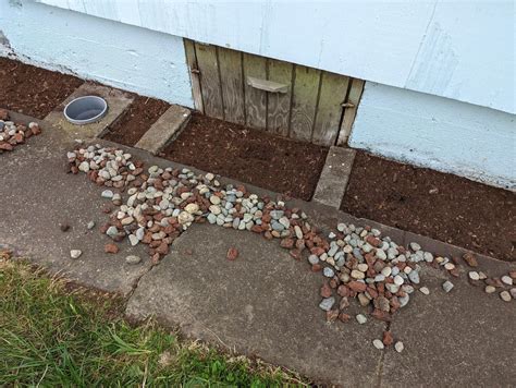 Help With Grading Around Foundation Rlandscaping