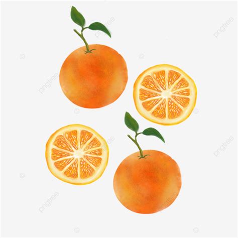 오렌지 과일 클립 아트 클립 아트 주황색 과일 Png 일러스트 및 Psd 이미지 무료 다운로드 Pngtree