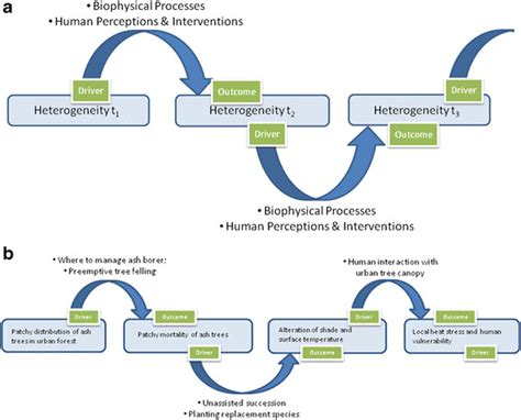 Top A General Model Template Illustrating How Dynamic Spatial