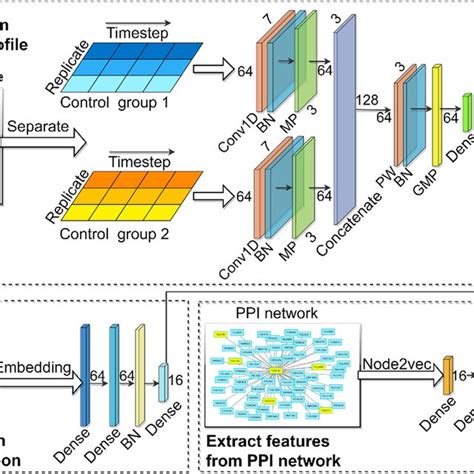 General Structure Of Our Framework Conv1d 1 Dimensional Convolution