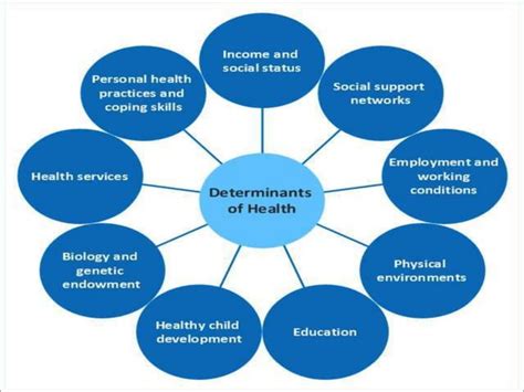 Determinants Of Diseases Pptx Genetics Science