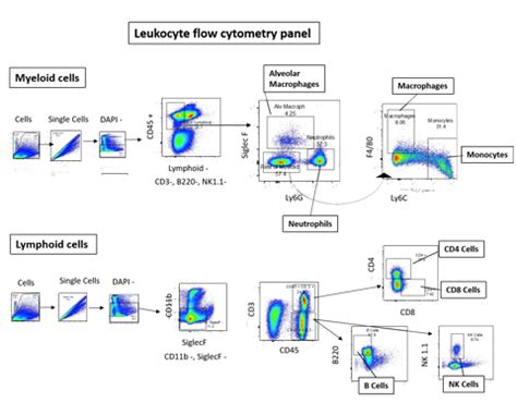 Flow Cytometry Marin Biologic Laboratories