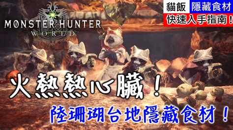 【mhw】陸珊瑚台地隱藏食材！火熱熱心臟！快速入手指南！ 魔物獵人世界 Youtube