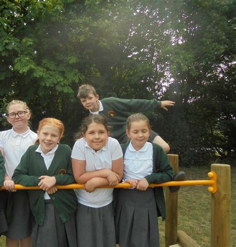 Bucklesham Primary School Yew