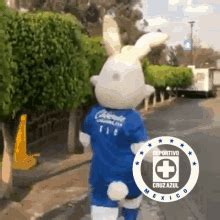 Cruz Azul Football  Cruzazul Football Field Discover And Share S