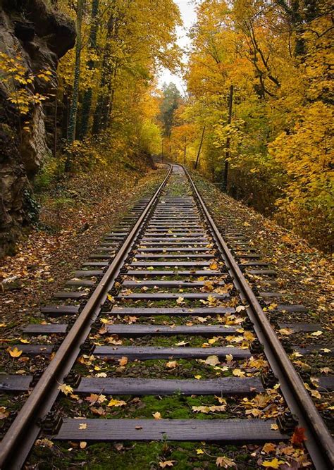 Autumn Rails By Jaro Vosahlo 500px Railroad Track Pictures Train