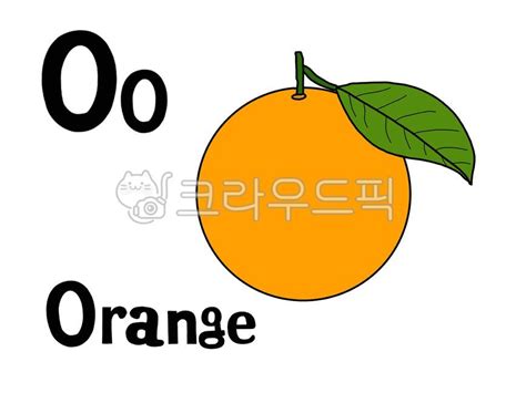 Abc Abc카드 영어카드 알파벳카드 알파벳 사진이미지일러스트캘리그라피 Jhsarah작가