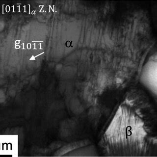 Microstructure Of Test Material EBSD Image Quality Maps Of The RD Download Scientific Diagram