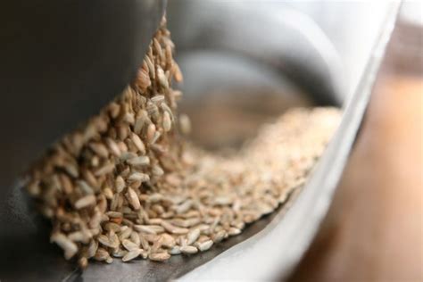 Processing Of Wheat Flour Hmhub Processing Of Wheat Flour Hmhub