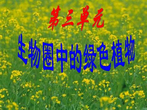 最新人教版初中初一七年级生物上册藻类苔藓与蕨类植物精品课件 word文档在线阅读与下载 无忧文档