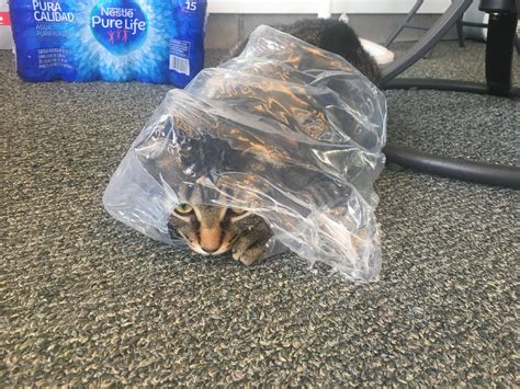 Hiding Scrolller