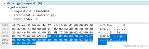 Snmp 计算机网络管理 实验3三 Snmp协议工作原理验证与分析 Csdn博客