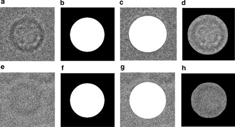 Fully Automated 2d Top View Particle Image Alignment Using The Download Scientific Diagram